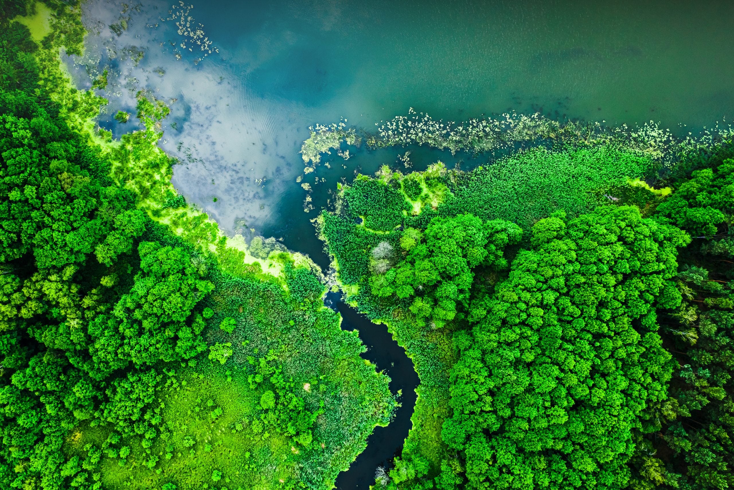 Our Net Zero Strategy - TEAM Energy